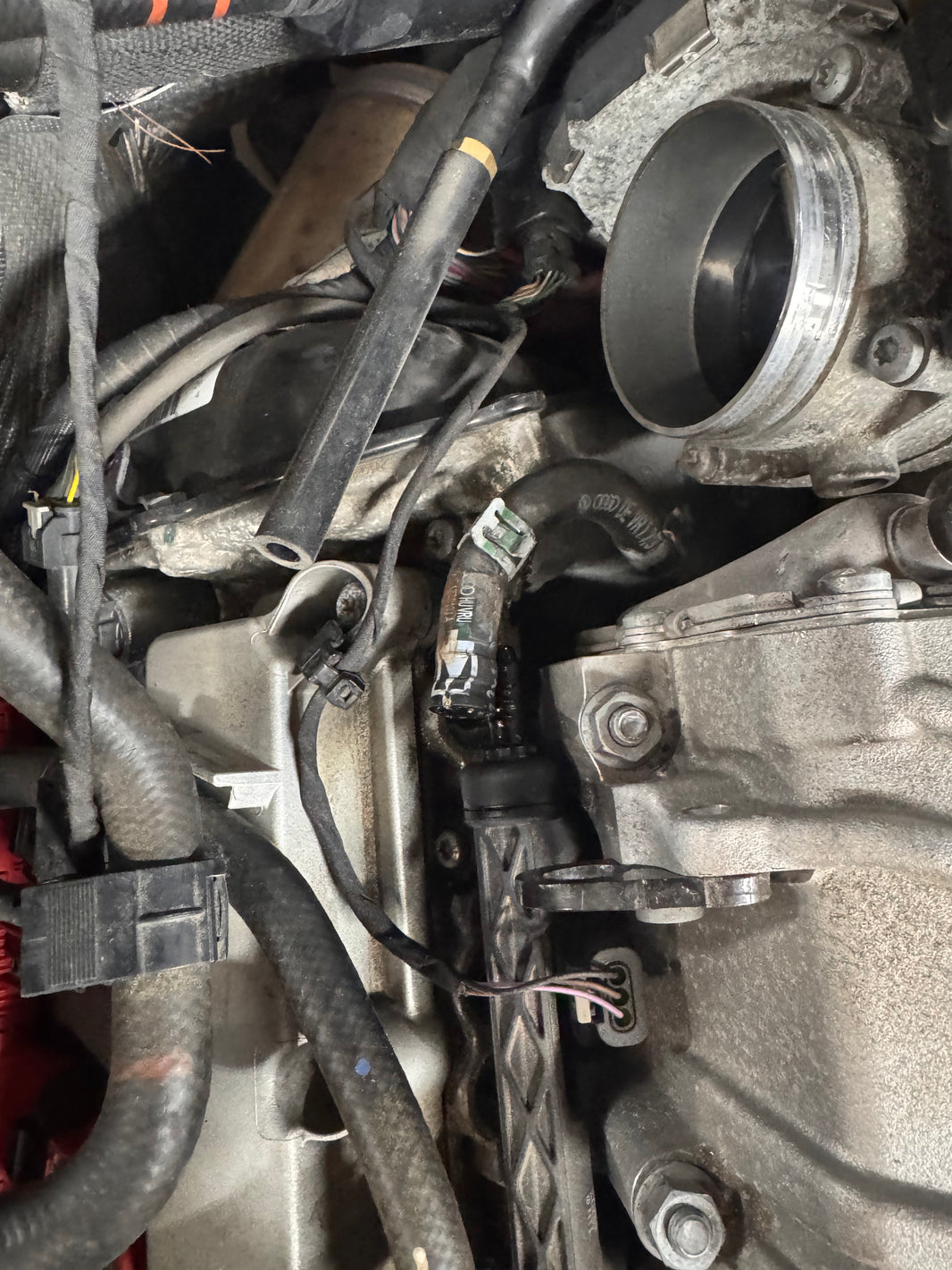 Jackal Motorsports | Audi Performance